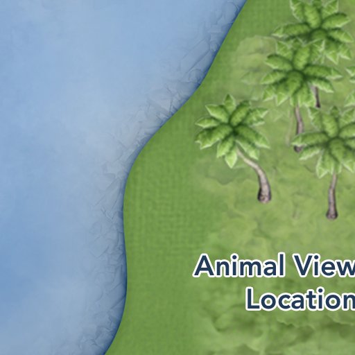 Anteaters | Disney Animals | Walt Disney World Resort