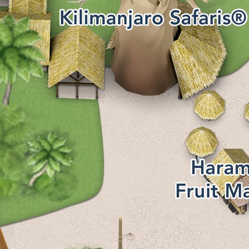 Ankole Cattle | Disney Animals | Walt Disney World Resort