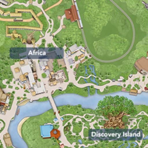 Lemurs | Disney Animals | Walt Disney World Resort