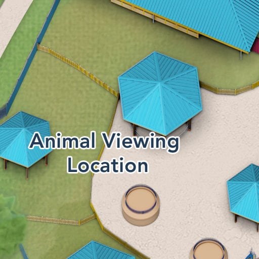 Conservation Station | Animal Kingdom Attractions | Walt Disney World ...