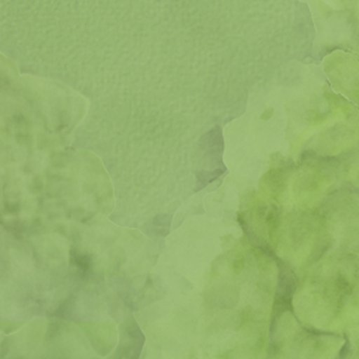 The Dino Institute Shop | Animal Kingdom | Walt Disney World Resort