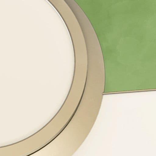 Sea Turtles | Epcot Attractions | Walt Disney World Resort