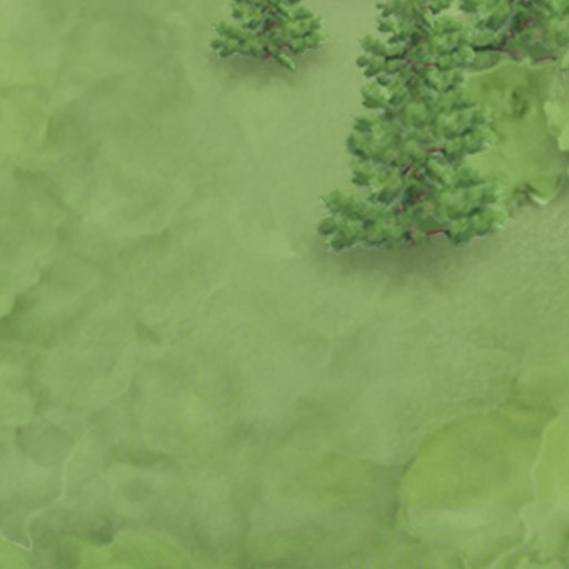 Tiana's Bayou Adventure | Walt Disney World Resort