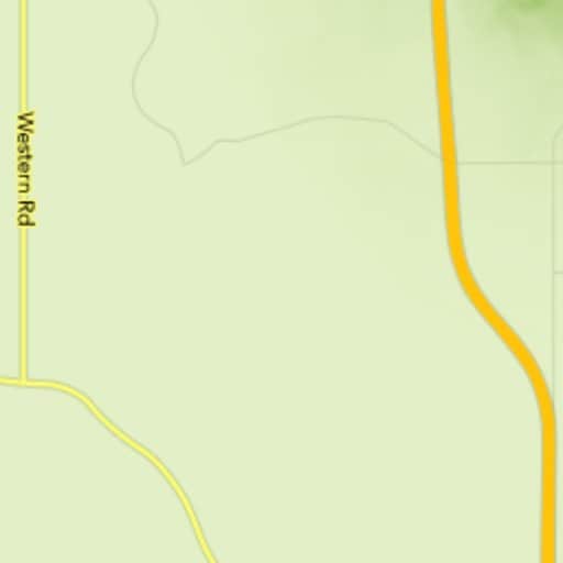 Express Resort Checkout | Walt Disney World Resort