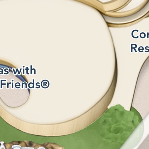 Journey of Water | Inspired by Moana | Walt Disney World Resort