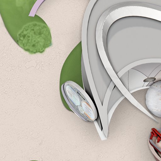 Mission: SPACE Advanced Training Lab | EPCOT Attractions | Walt Disney ...