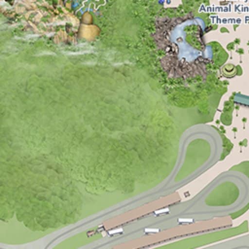 Animal Kingdom Events & Tours | Walt Disney World Resort