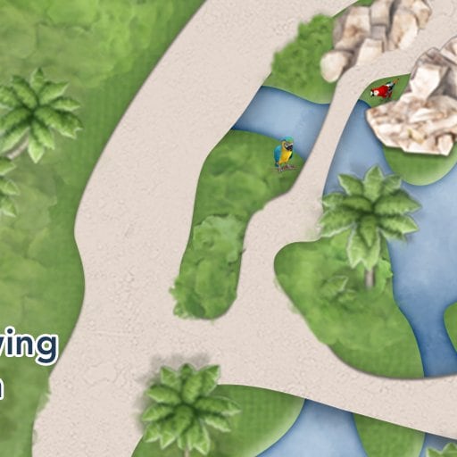 Anteaters | Disney Animals | Walt Disney World Resort