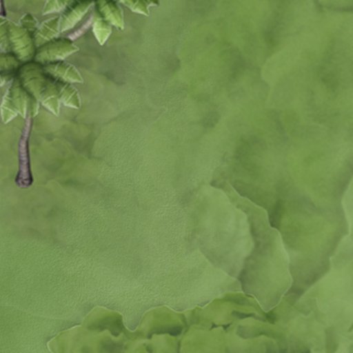 Backlot Express | Walt Disney World Resort