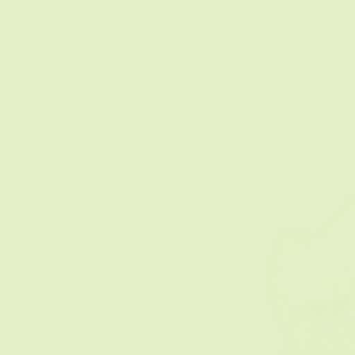 Bell Services | Walt Disney World Resort