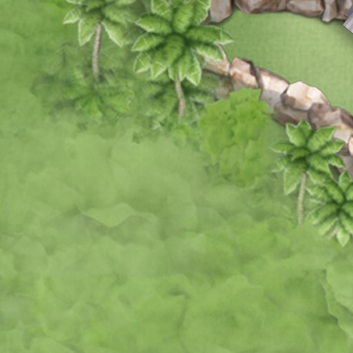 Bats – Disney Animals | Walt Disney World Resort